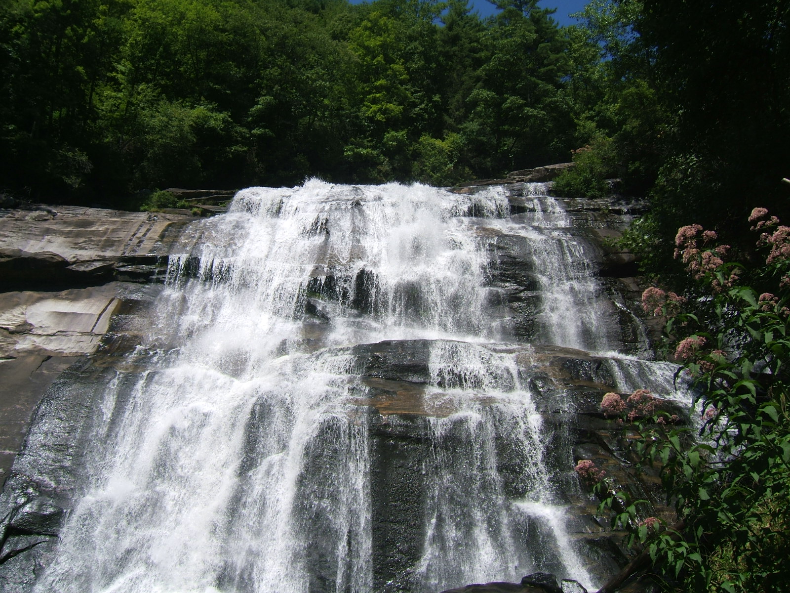 The Waters of Meribah ~ Psalm 81 | The Abundant Heart