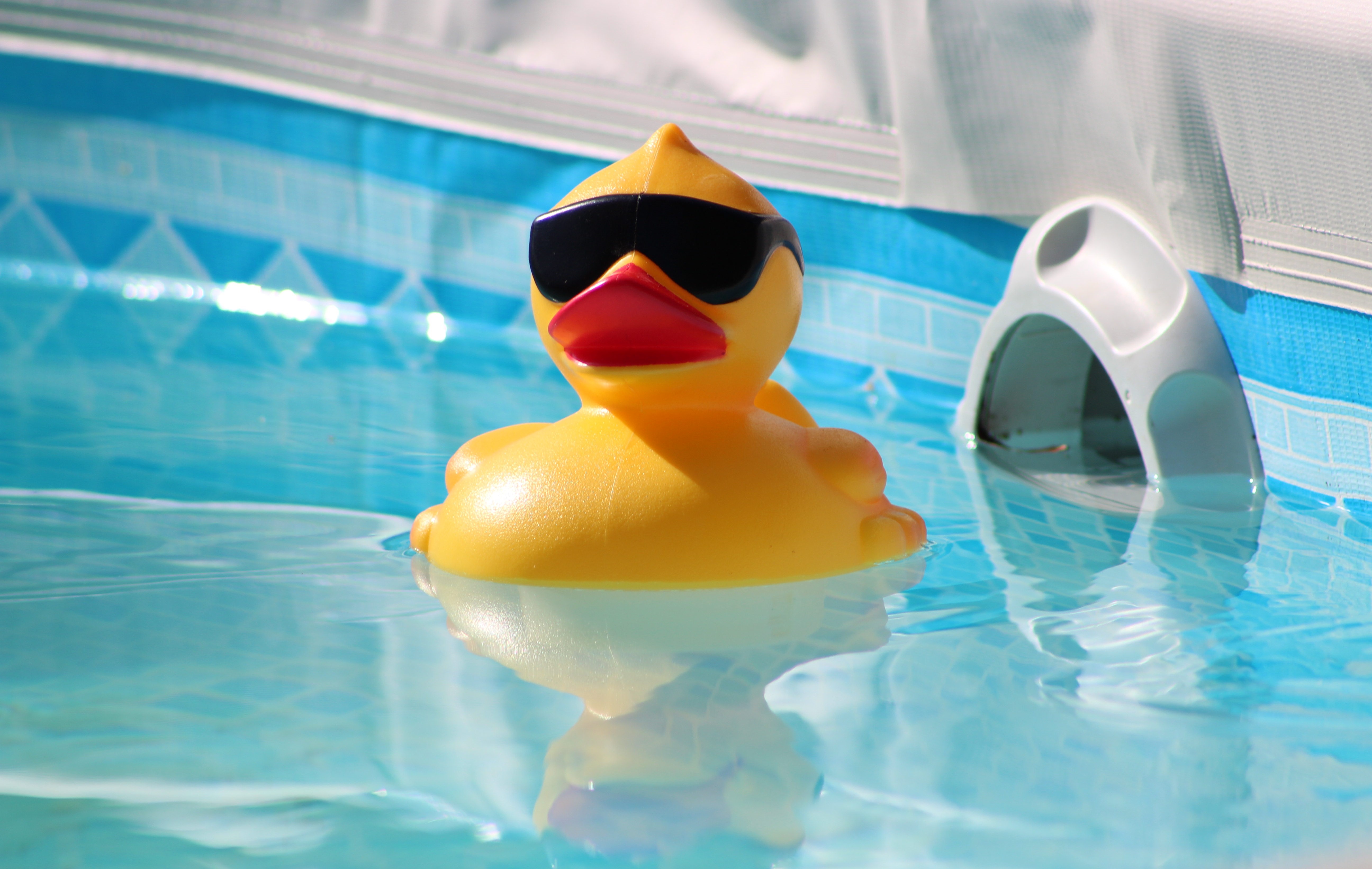 Pool Party | The Abundant Heart