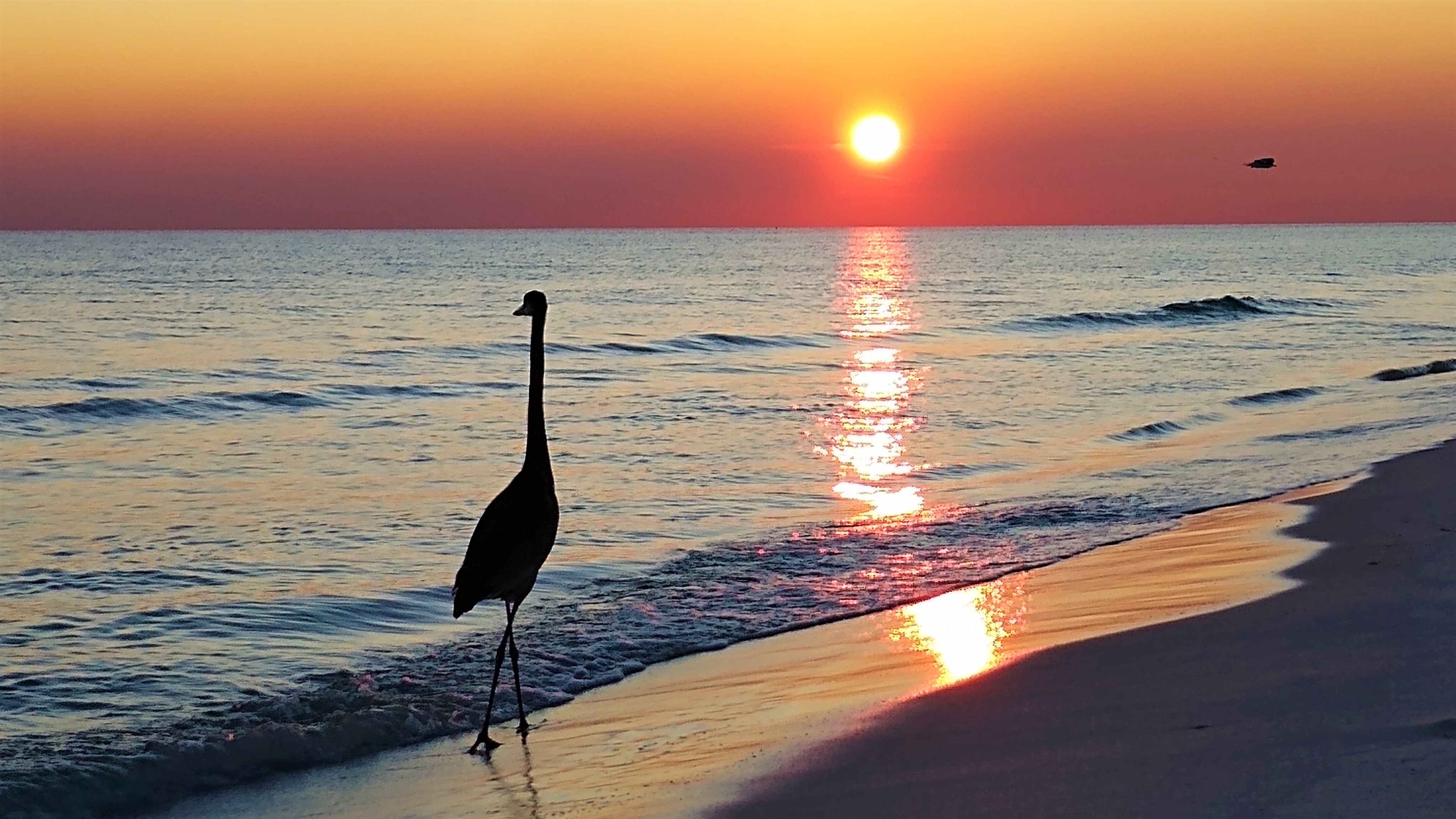 Jesus in John 9: The Light of the World | The Abundant Heart
